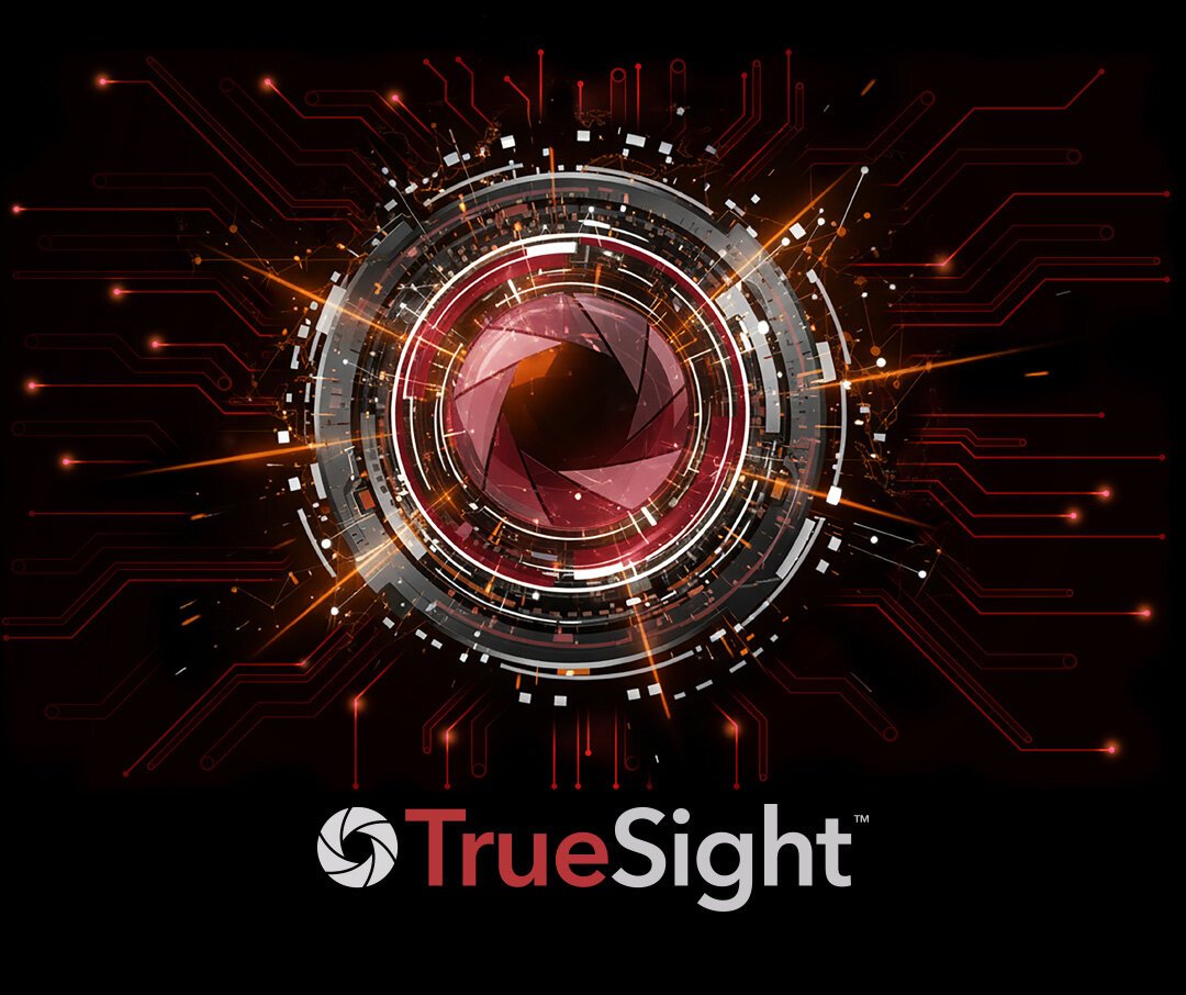TrueSight™: The Intelligent Engine for Accurate Motion Amplification ...